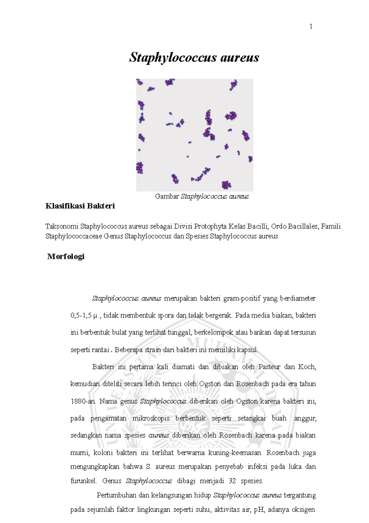 Materi 3, Staphylococccus Aureus, Bakteriologi II, Agus Sudrajat ...