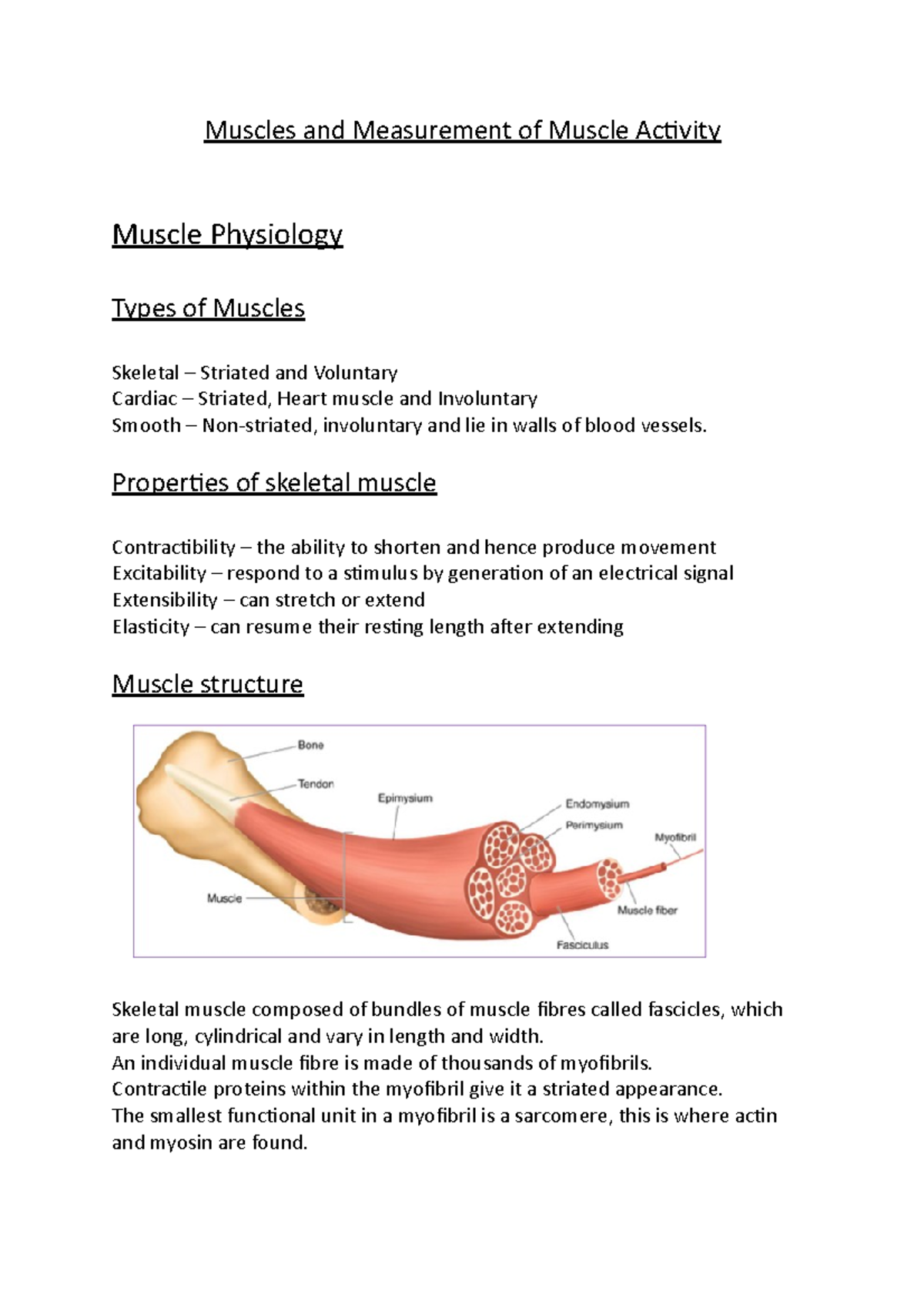 Muscles and Measurement of Muscle Activity - Properties of skeletal ...