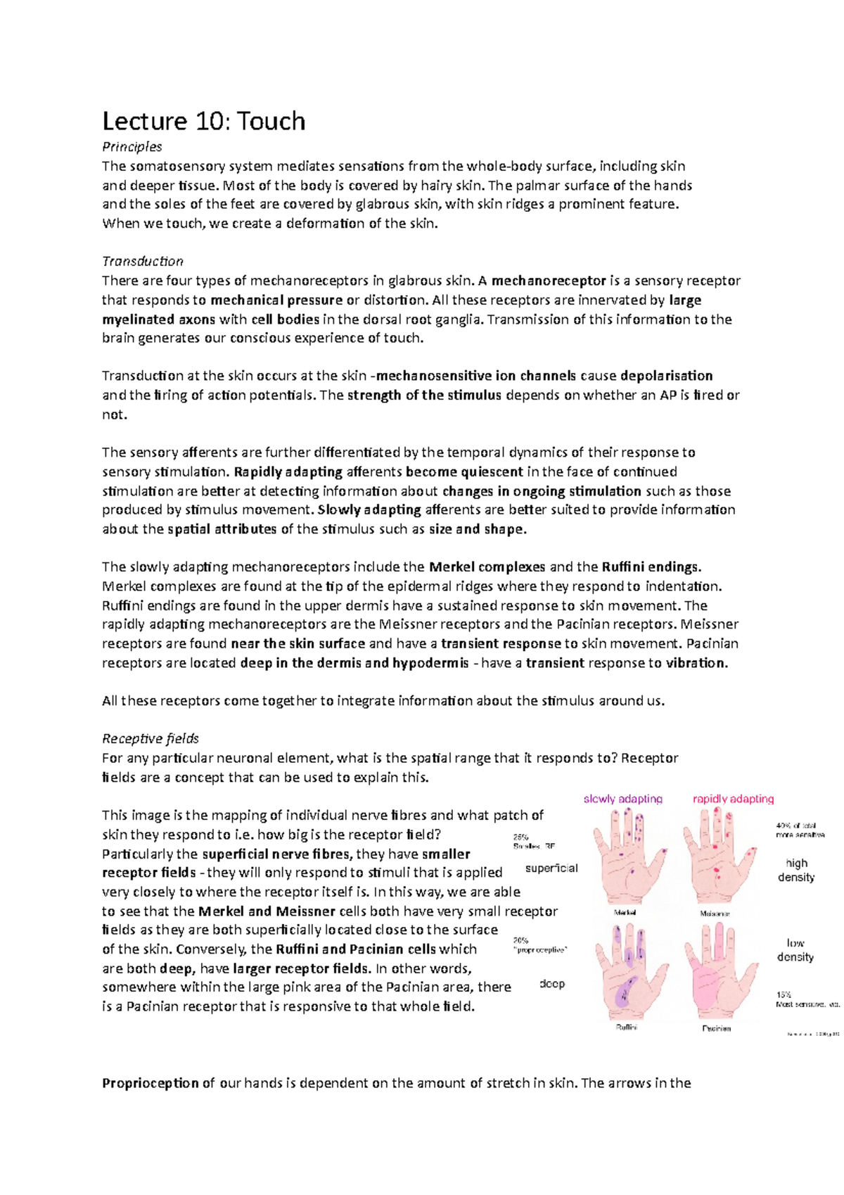 Week 4 Lectures - Lecture 10: Touch Principles The somatosensory system ...