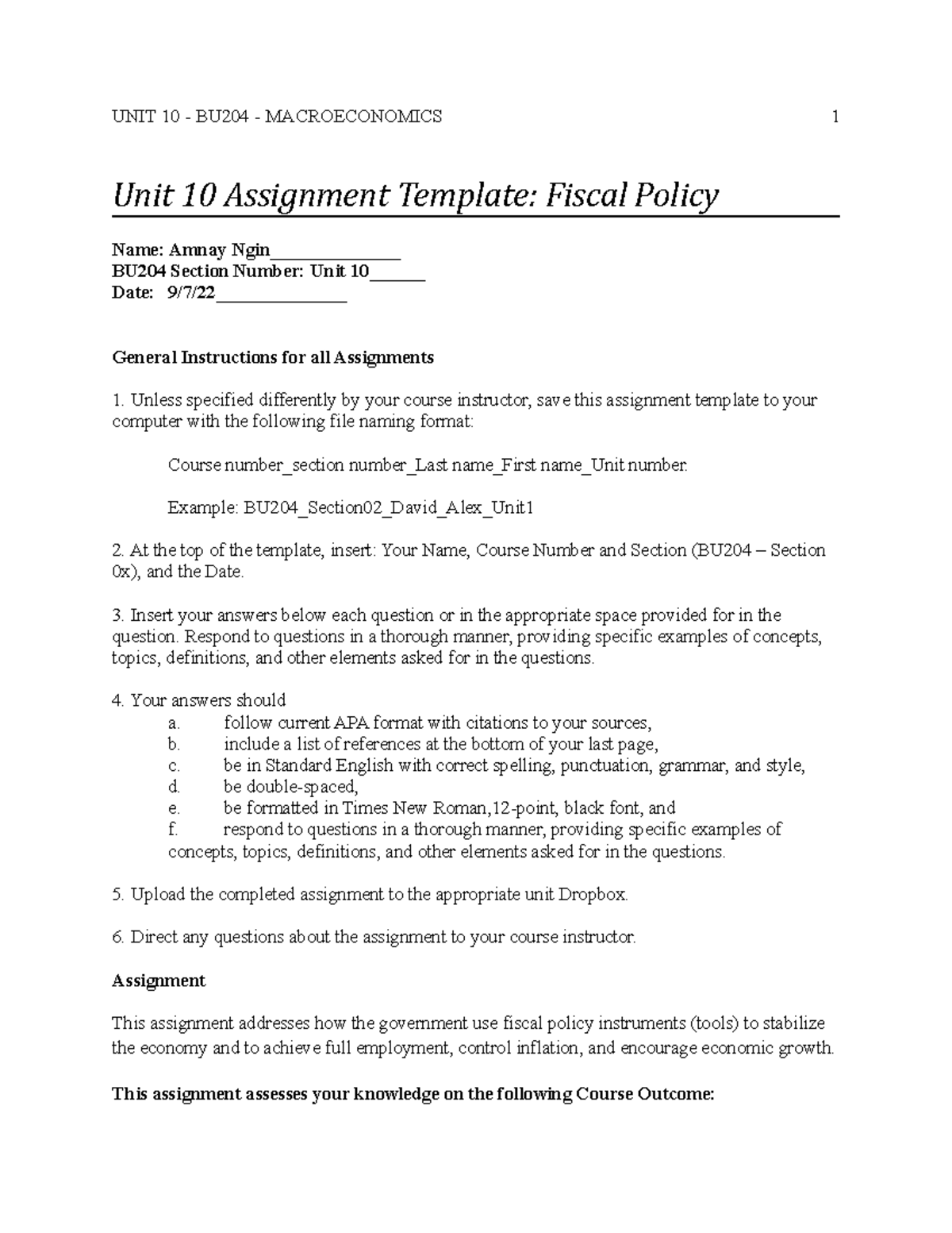 BU204 Unit 10 Assignment Amnay Ngin - Unit 10 Assignment Template ...