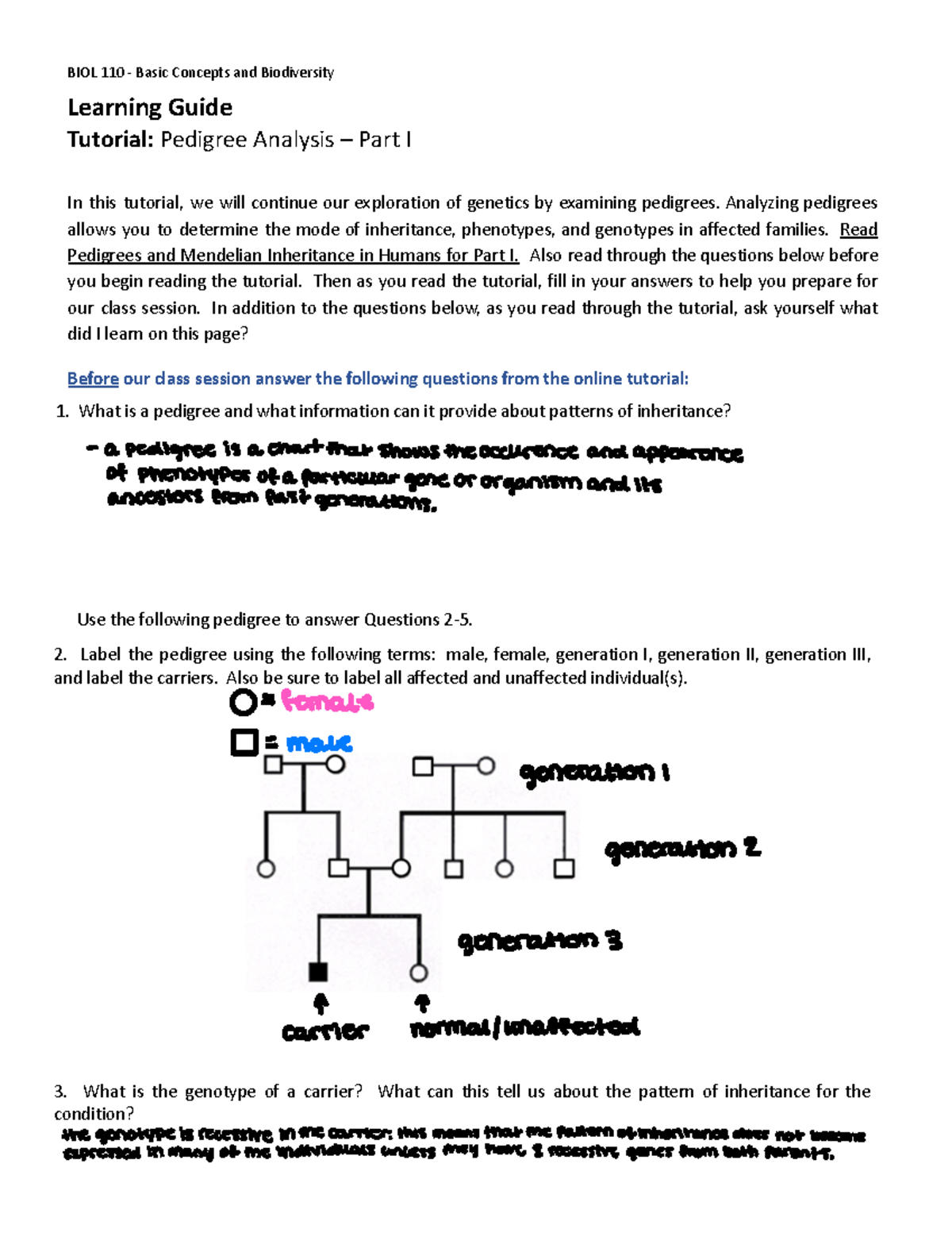 Bio 110 tutorial 14 pt 1 - bio 110, Denise woodward - BIOL 110 - Basic ...