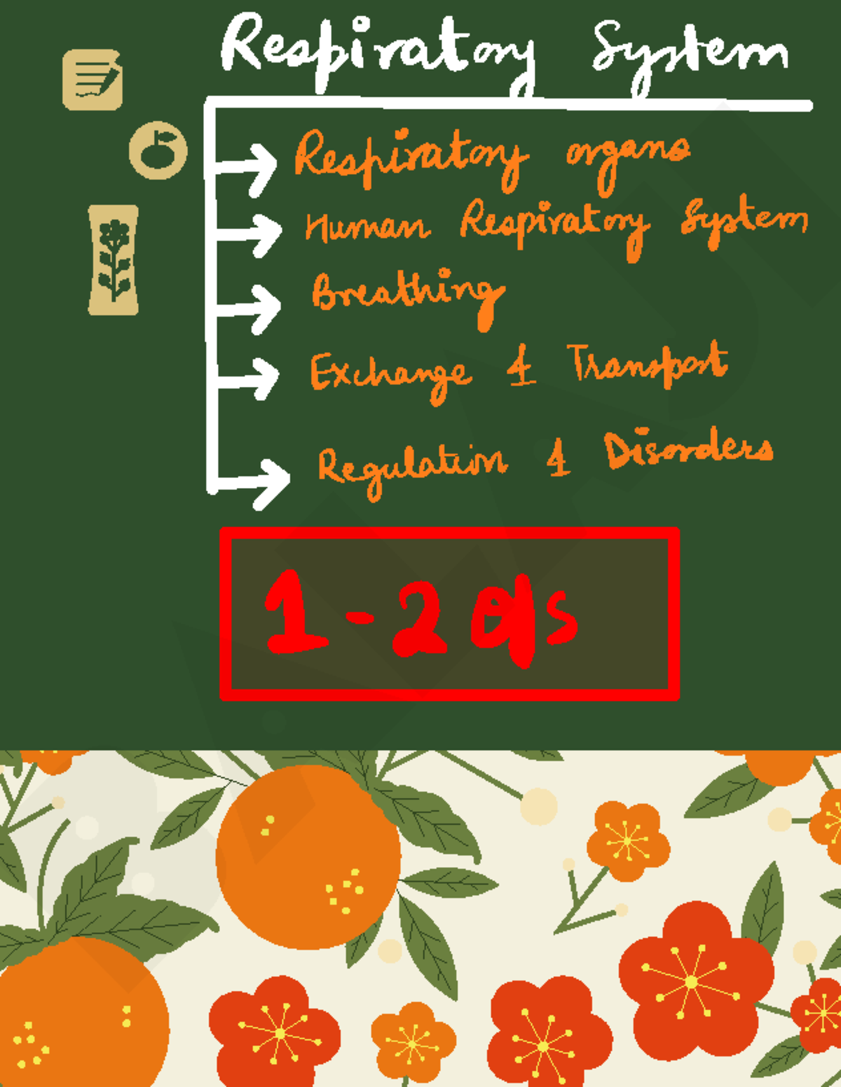 Mindmap-19 Respiration - Respiratory system Respiratory organs human ...