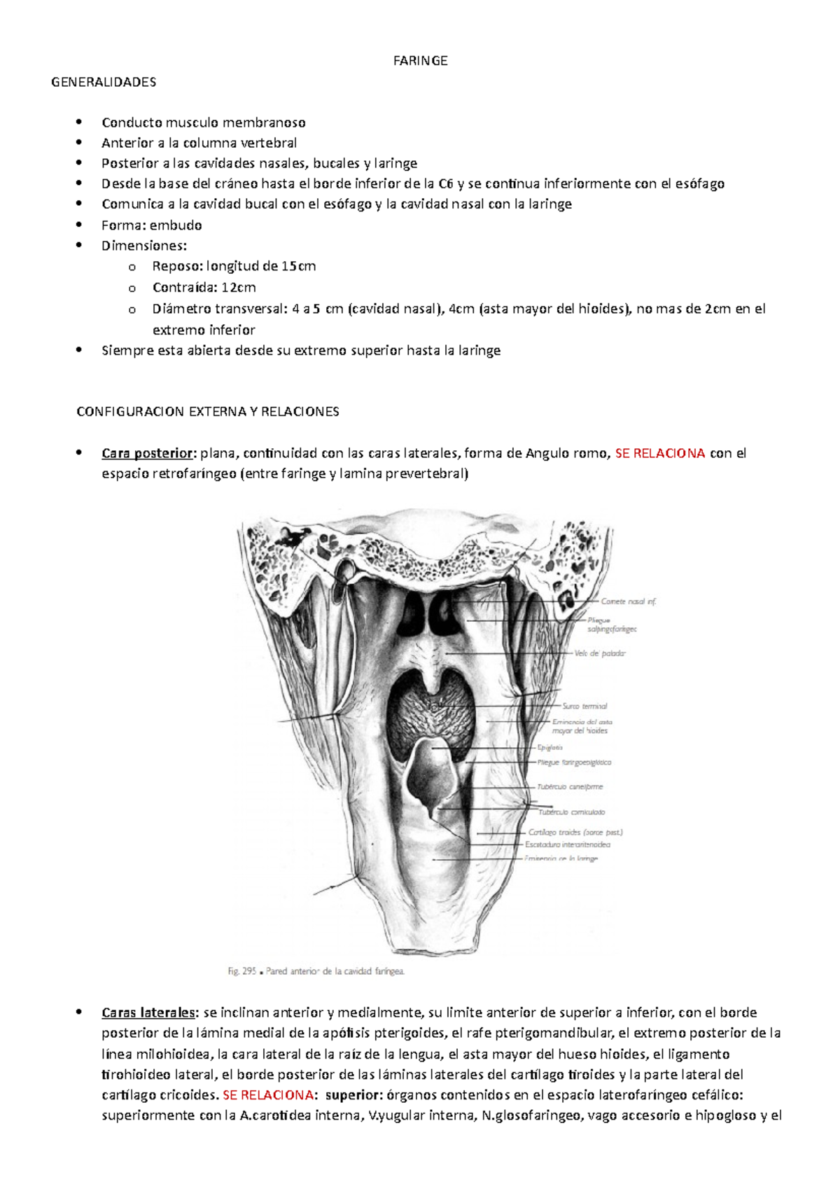 Faringe - Resumen del rouviere - FARINGE GENERALIDADES Conducto musculo ...