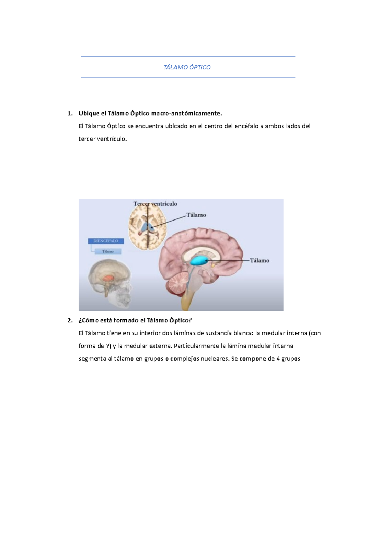 TP Sobre Tálamo Óptico - Apunte y Power Point - Clase grabada - TÁLAMO ...