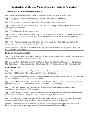 Directional Terms Practice - Directional Terms Practice Complete the ...