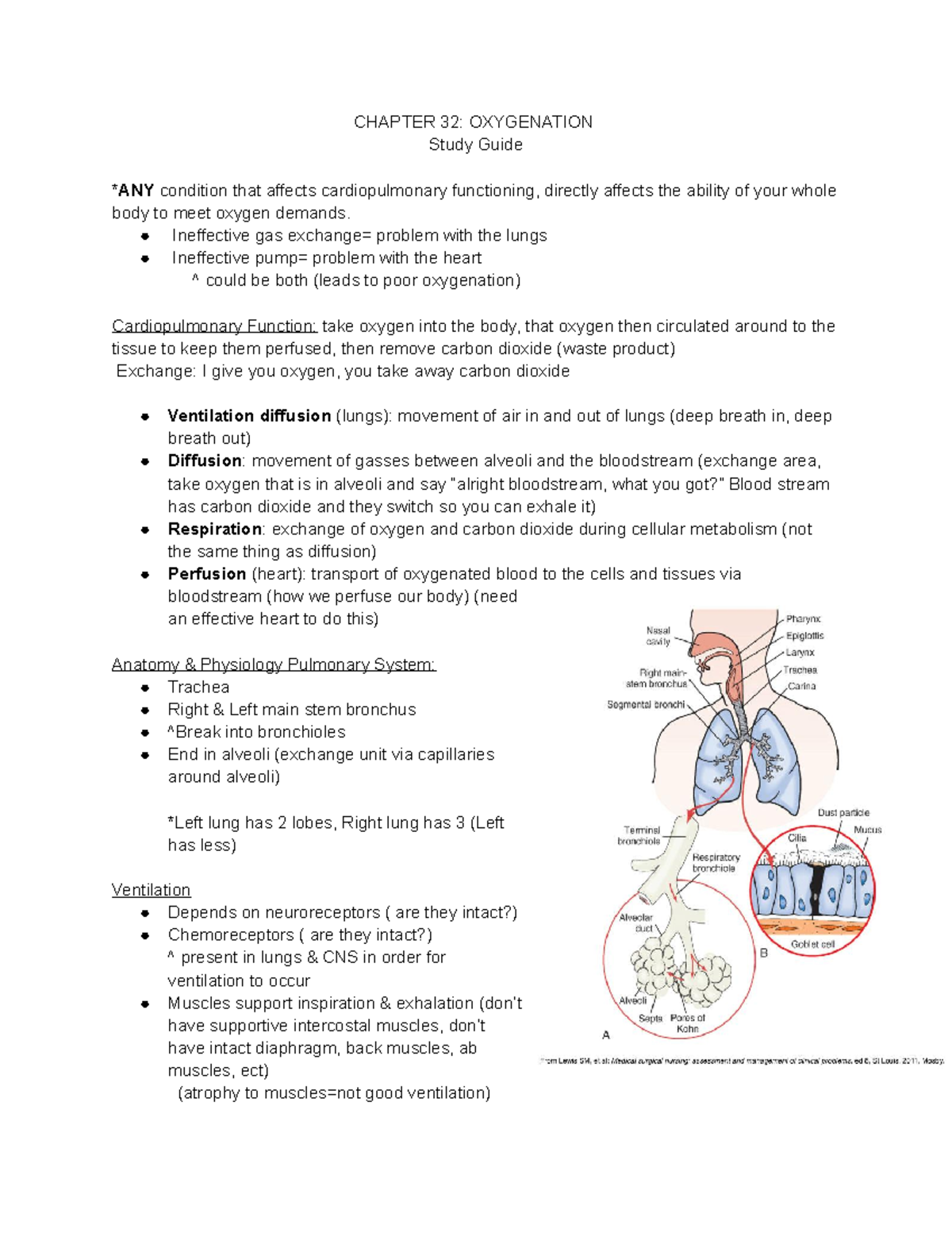 Chapter 32: Oxygenation study guide - CHAPTER 32: OXYGENATION Study ...