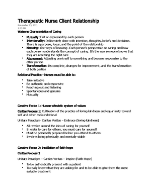 RUA paper - Briance’ Pittman NR 103 Transition to the Nursing ...