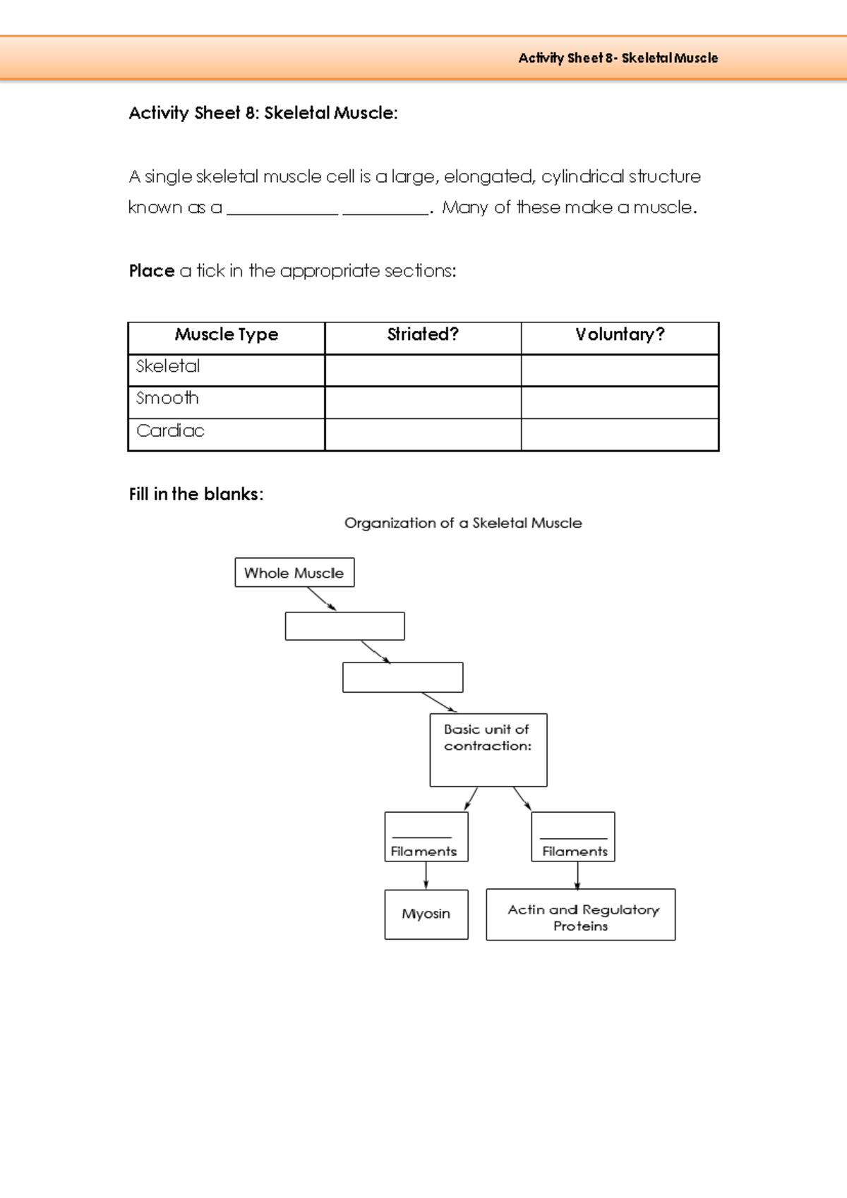 Activity Sheet 8 - Skeletal muscle - Activity Sheet 8: Skeletal Muscle ...