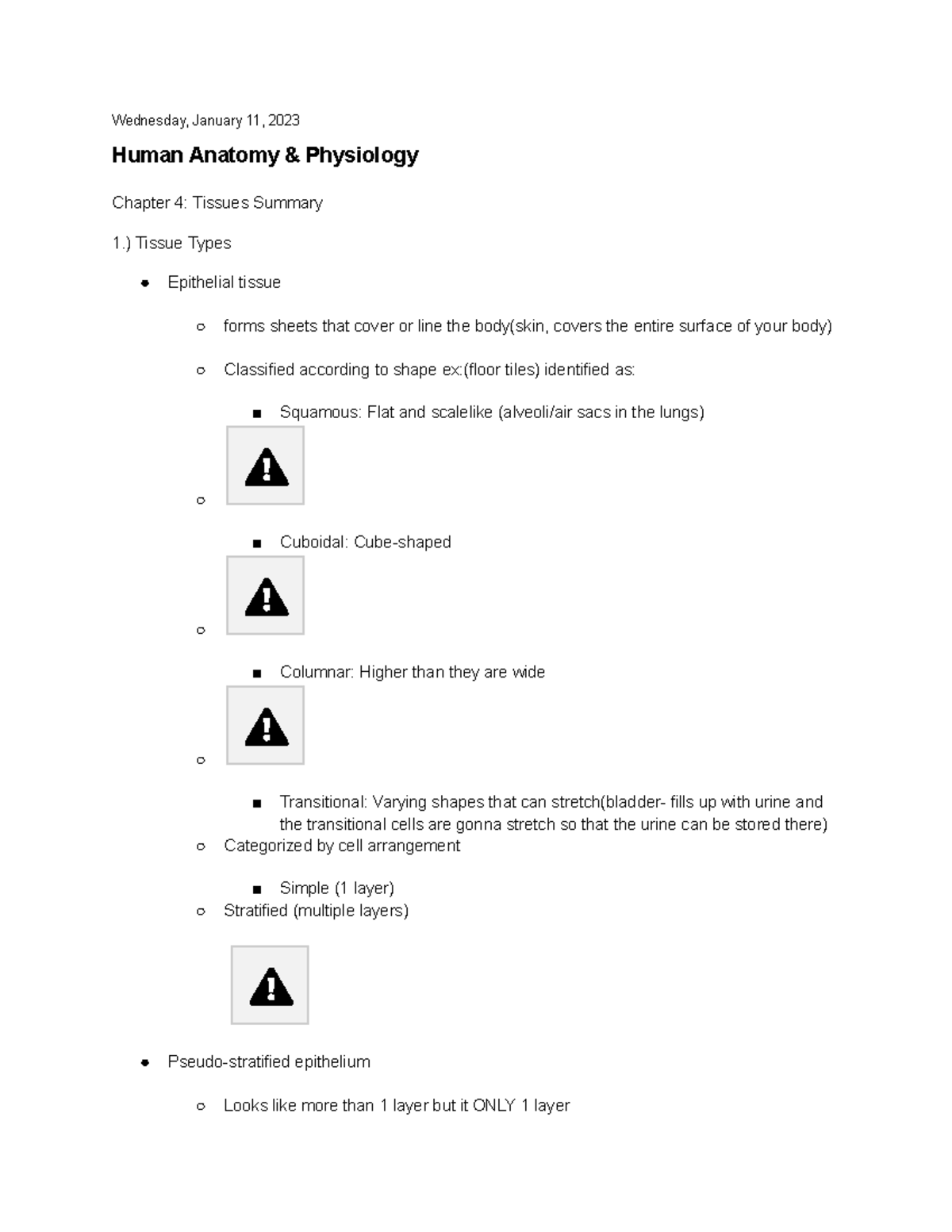 Human Anatomy Notes 2 Studocu Wednesday January 11 2023 Human