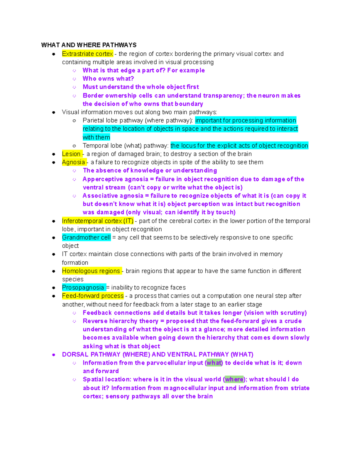 Perceiving and Recognizing Objects - WHAT AND WHERE PATHWAYS Extrastriate cortex - the region of ...