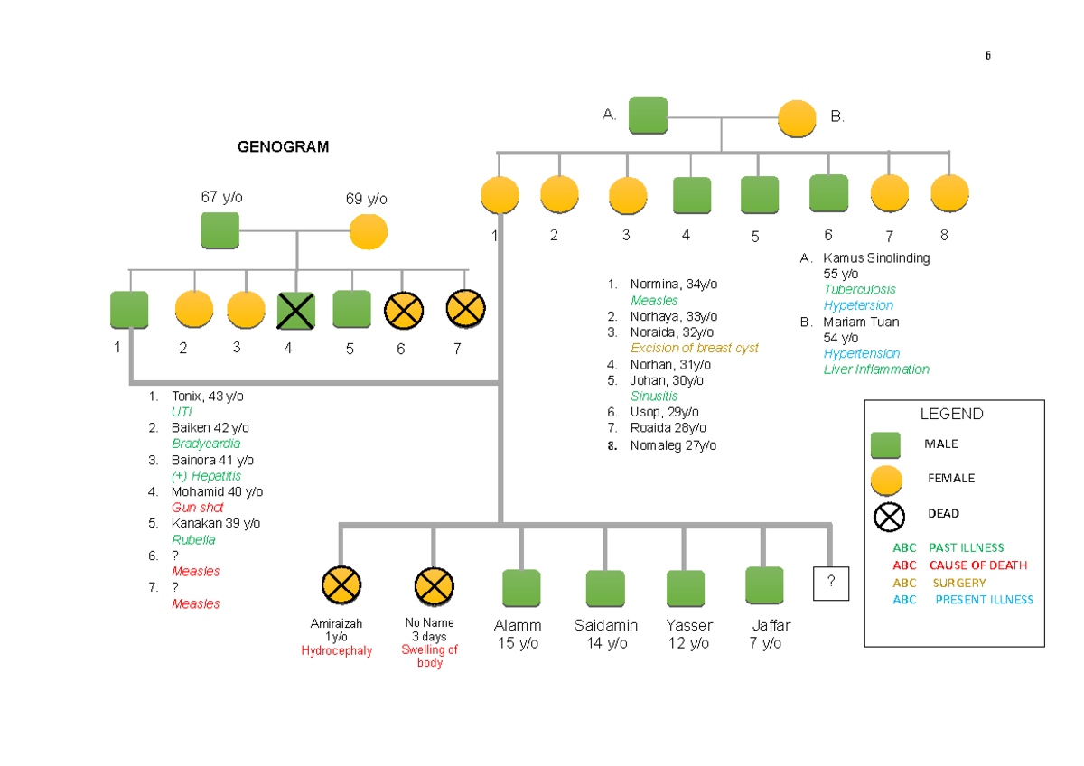 Genogram - 6 Amiraizah 1y/o Hydrocephaly LEGEND MALE FEMALE DEAD ABC ...