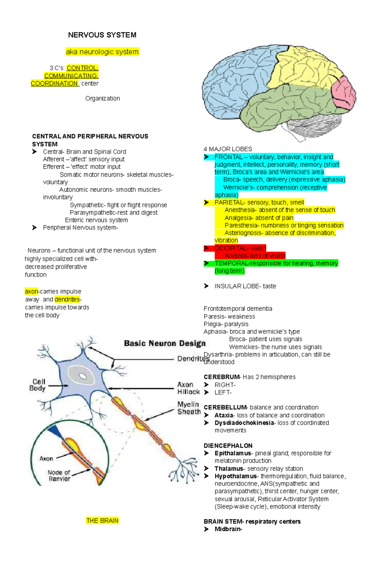 Neuro ana and physio 5 - NERVOUS SYSTEM aka neurologic system 3 C’s ...