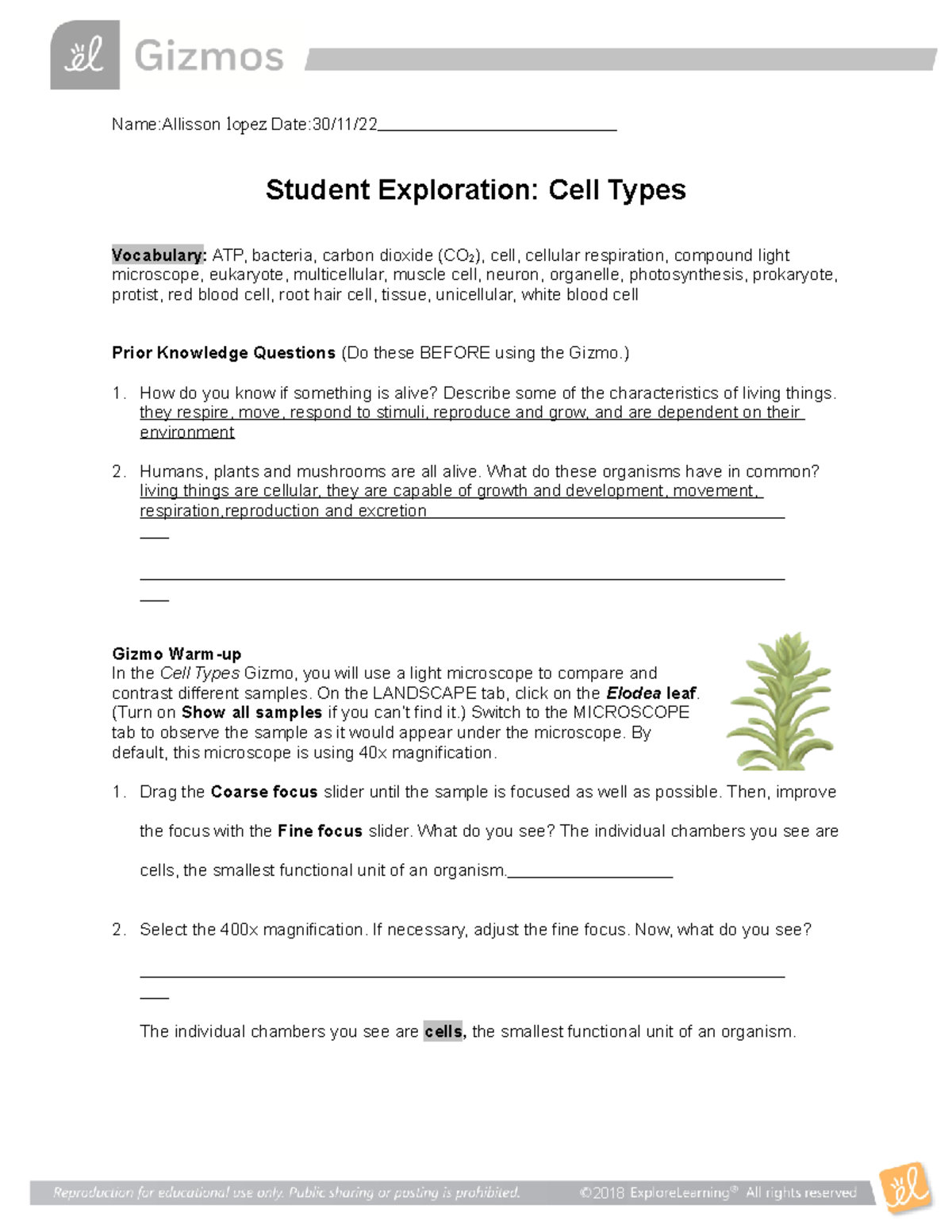 Cell Types SE 3 - hello - Name:Allisson lopez Date:30/11/ Student ...