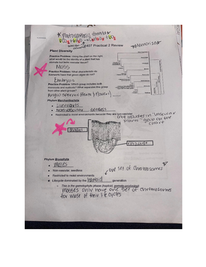 Chapter 16 - Biology 1407 outline notes, filled in from Dr. Burns ...