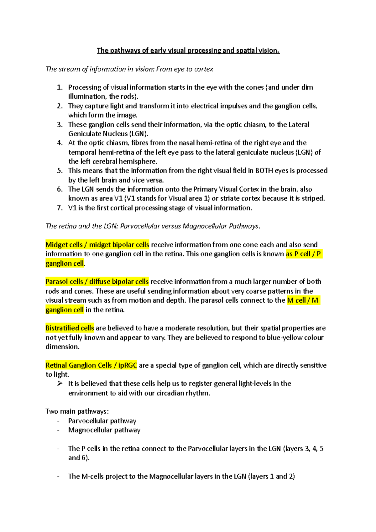 The pathways of early visual processing and spatial vision - The stream ...