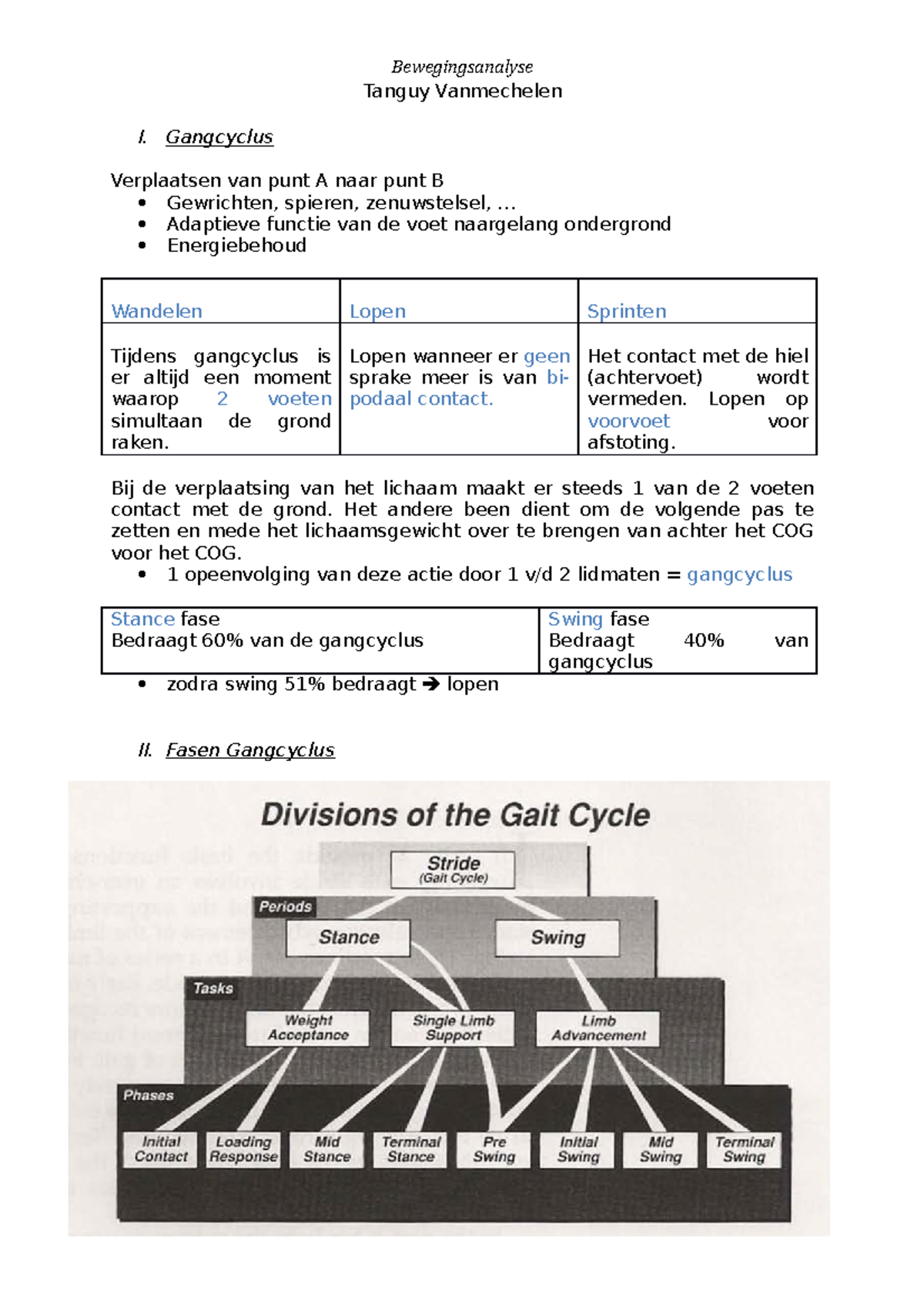 Bewegingsanalyse SV - Bewegingsanalyse Tanguy Vanmechelen I. Gangcyclus ...
