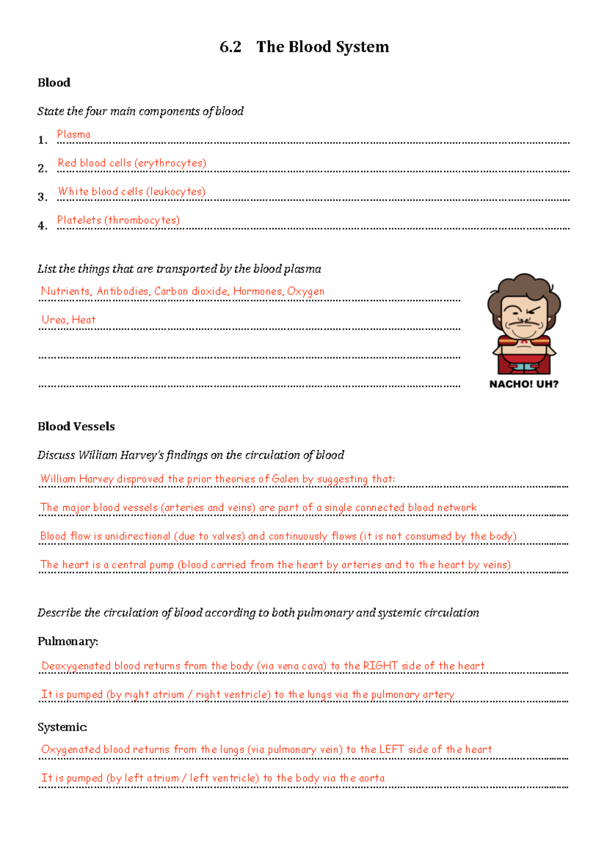 Topic 6.2 worksheet (answers) - 6 The Blood System Blood State the four ...