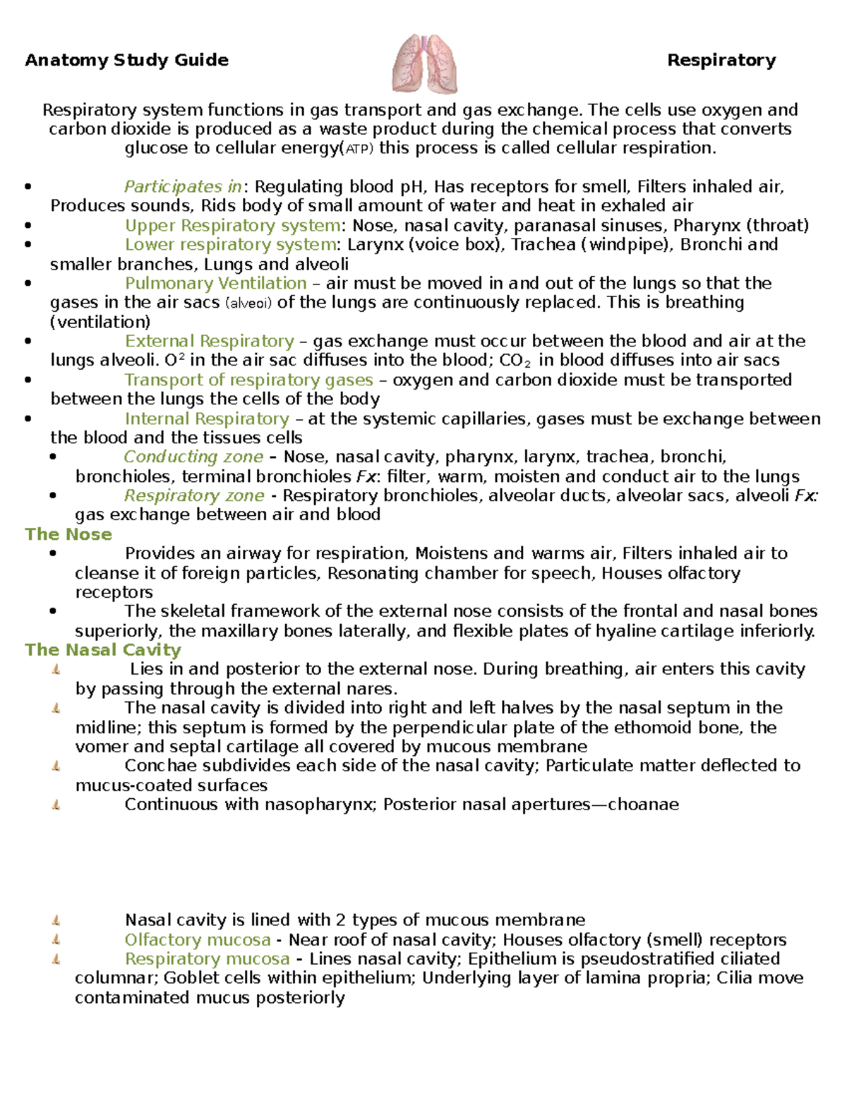 Anatomy sg6 - Respiratory notes - Anatomy Study Guide Respiratory ...