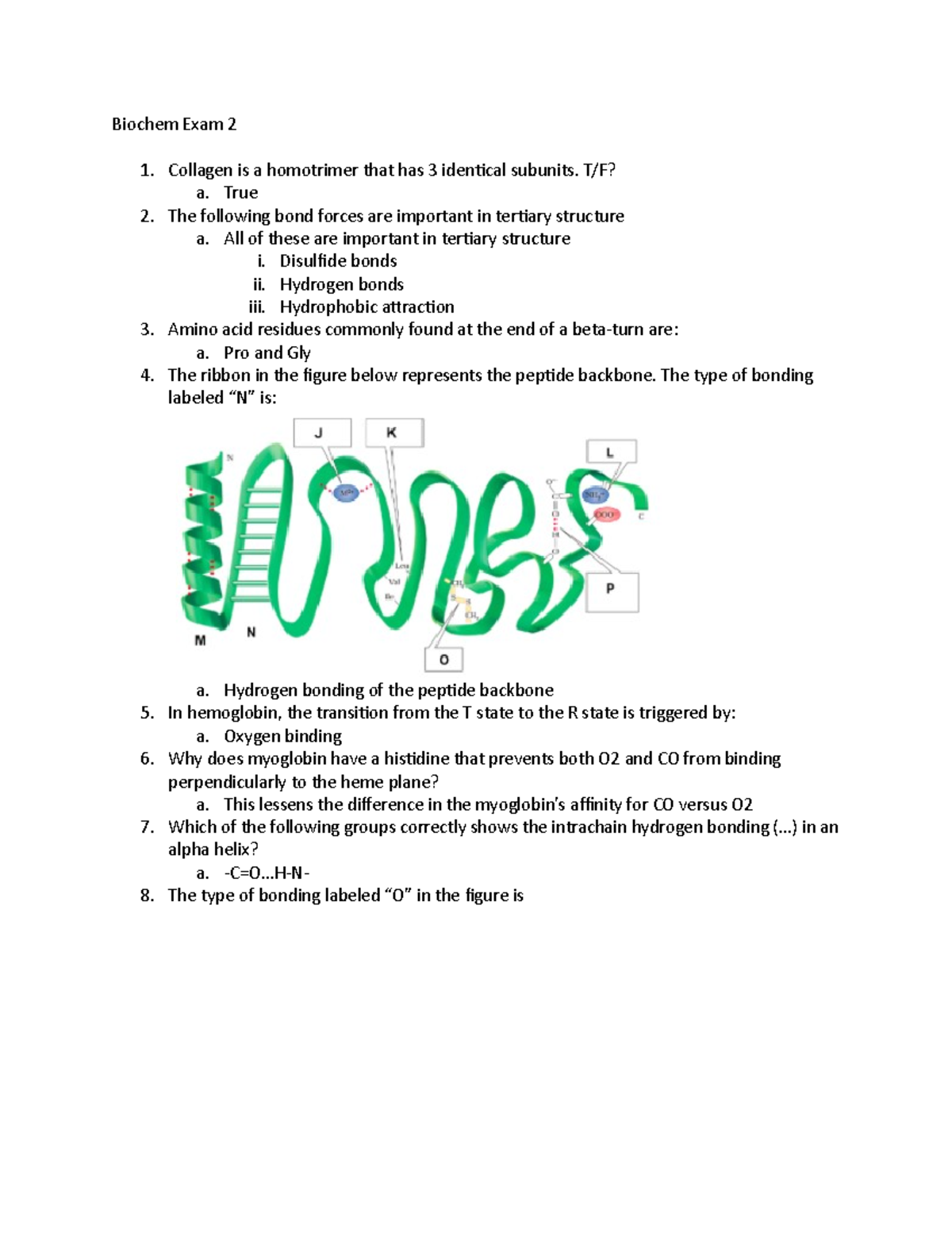 Biochem Exam 2 - Professor Grabner - Biochem Exam 2 Collagen is a ...