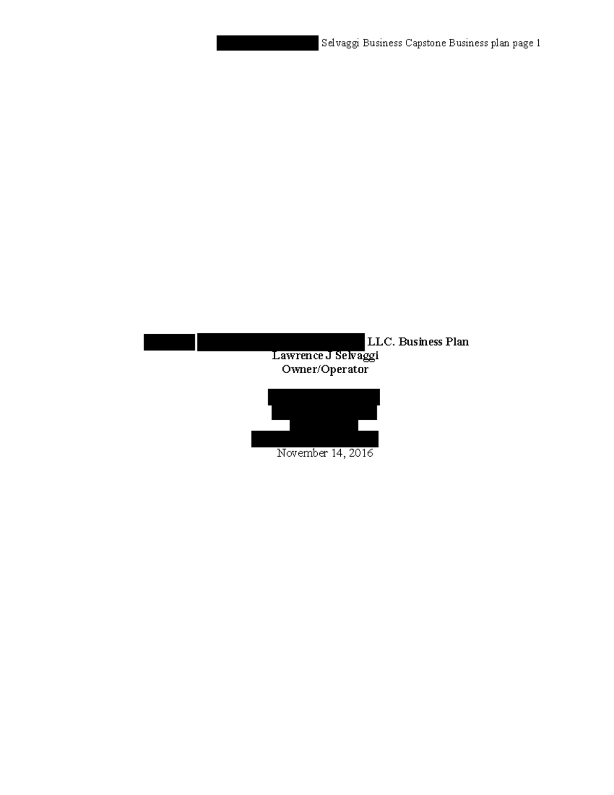 Capstone Business Plan - LLC. Business Plan Lawrence J Selvaggi Owner ...