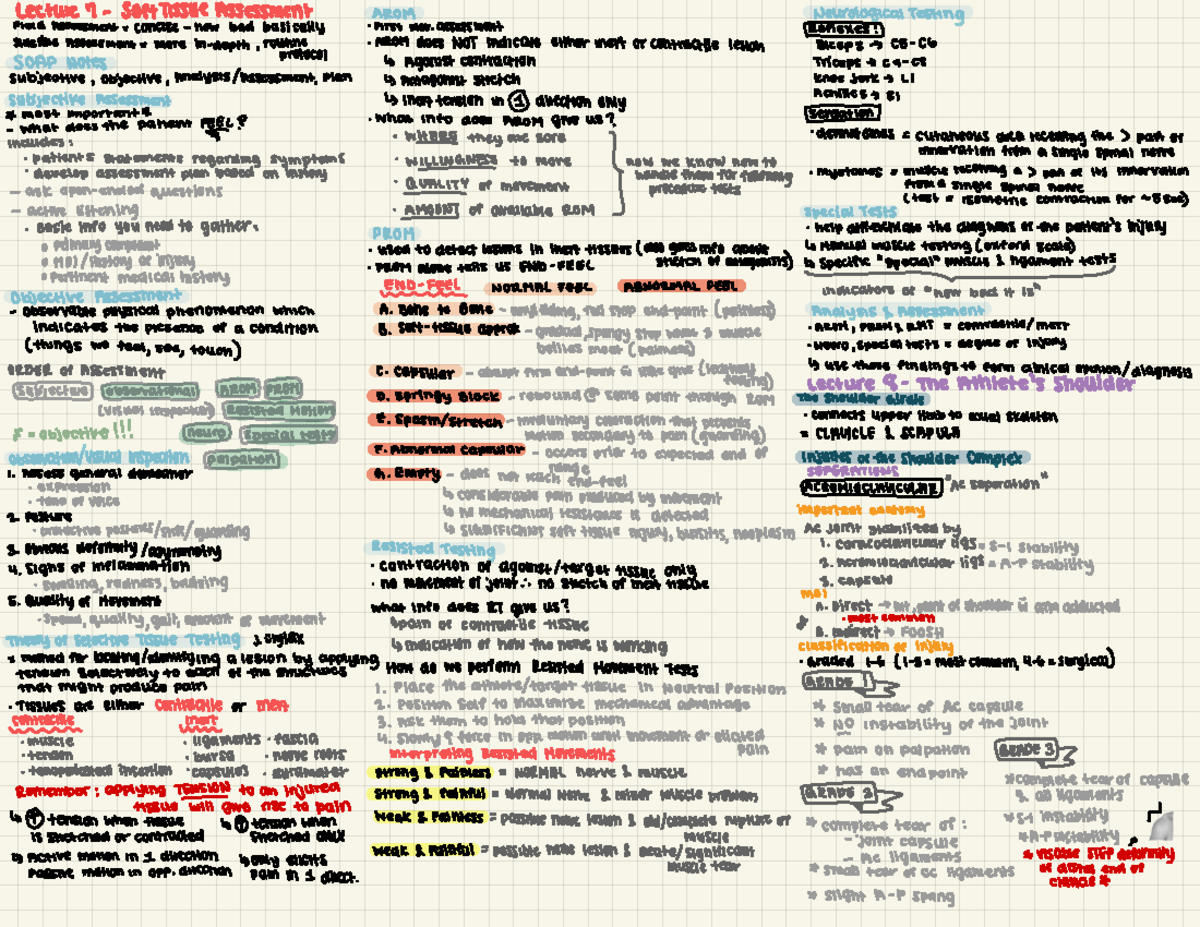 Big Review Sheet 4 - Lecture 1- SOP+Tissue Assessment AROM Neurological ...