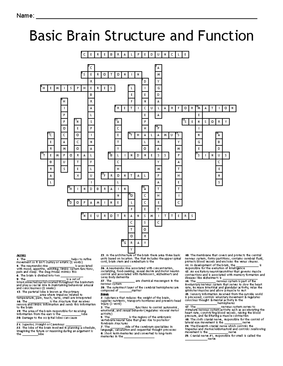 Basic Brain Structure and Functi answer key 35fa9 6162e602 - Name ...