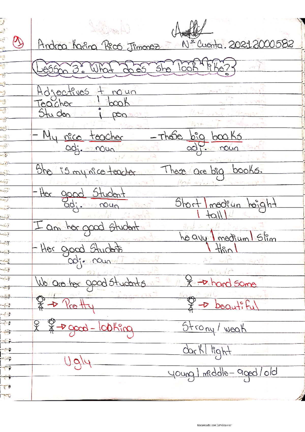 Leccion 3 Ingles - ingles l - Studocu