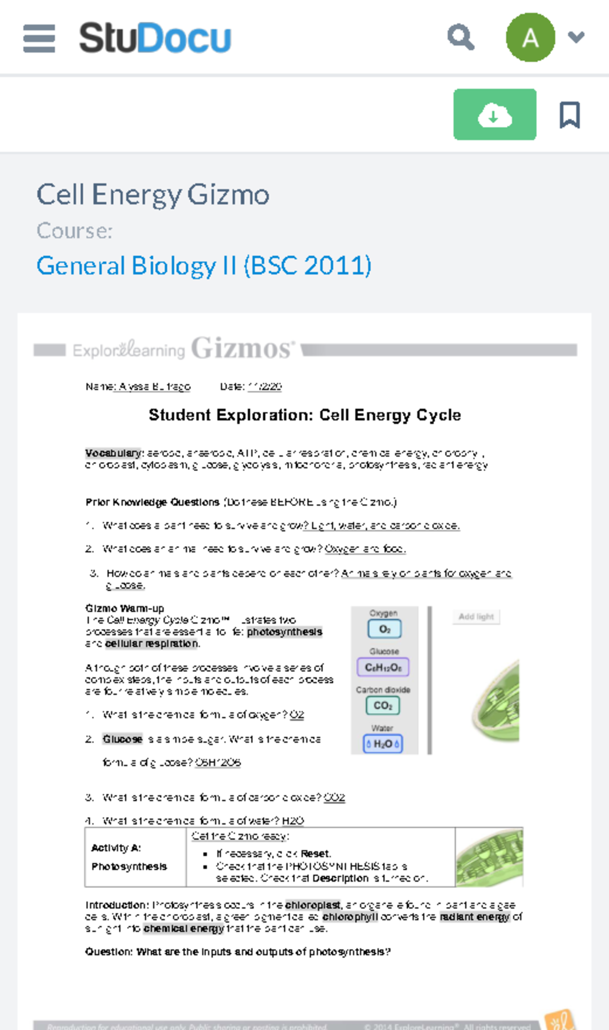 Cell Energy Gizmo - BSC 2011 - General Biology II - FIU - Stu Docu 7 ...