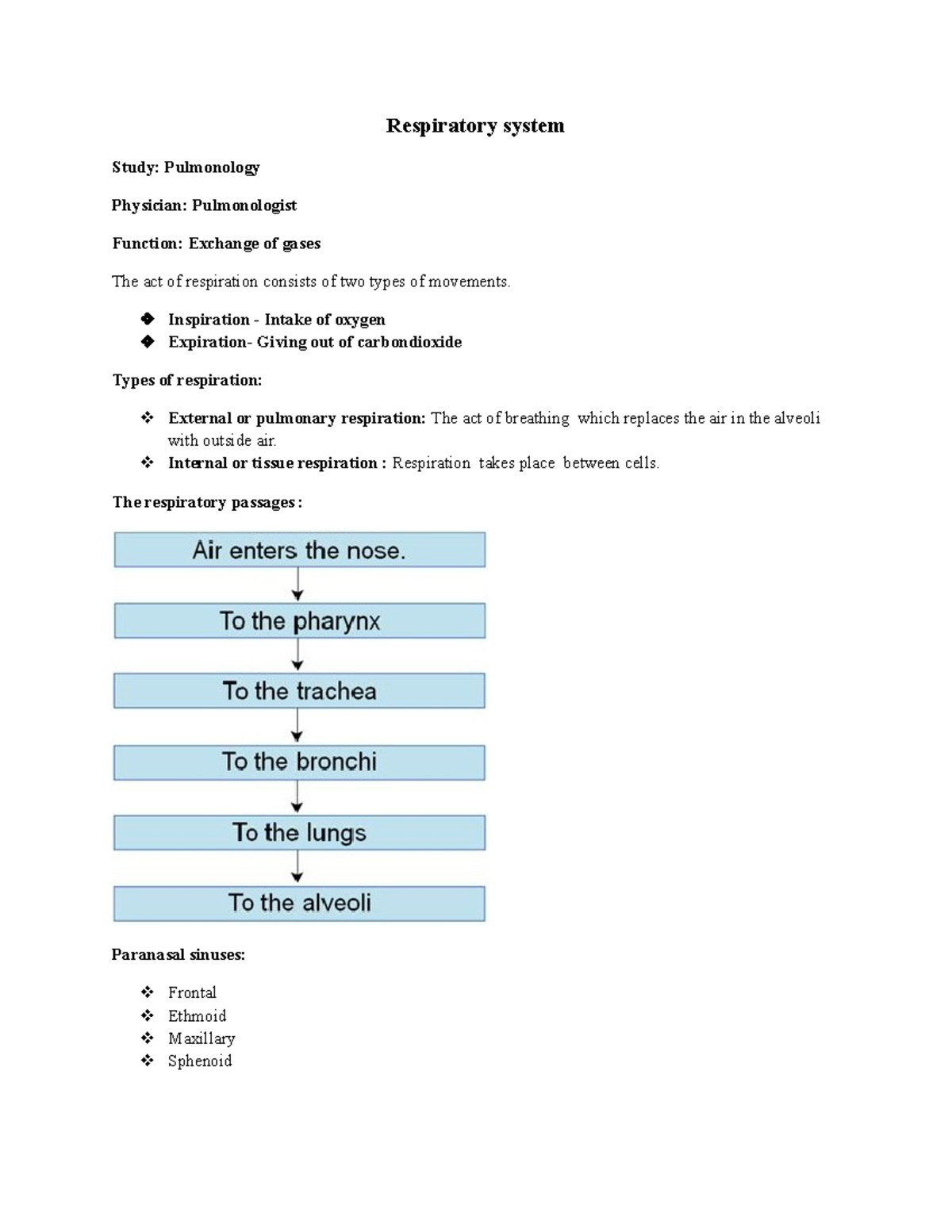 Respiratory system - Respiratory system Study: Pulmonology Physician ...