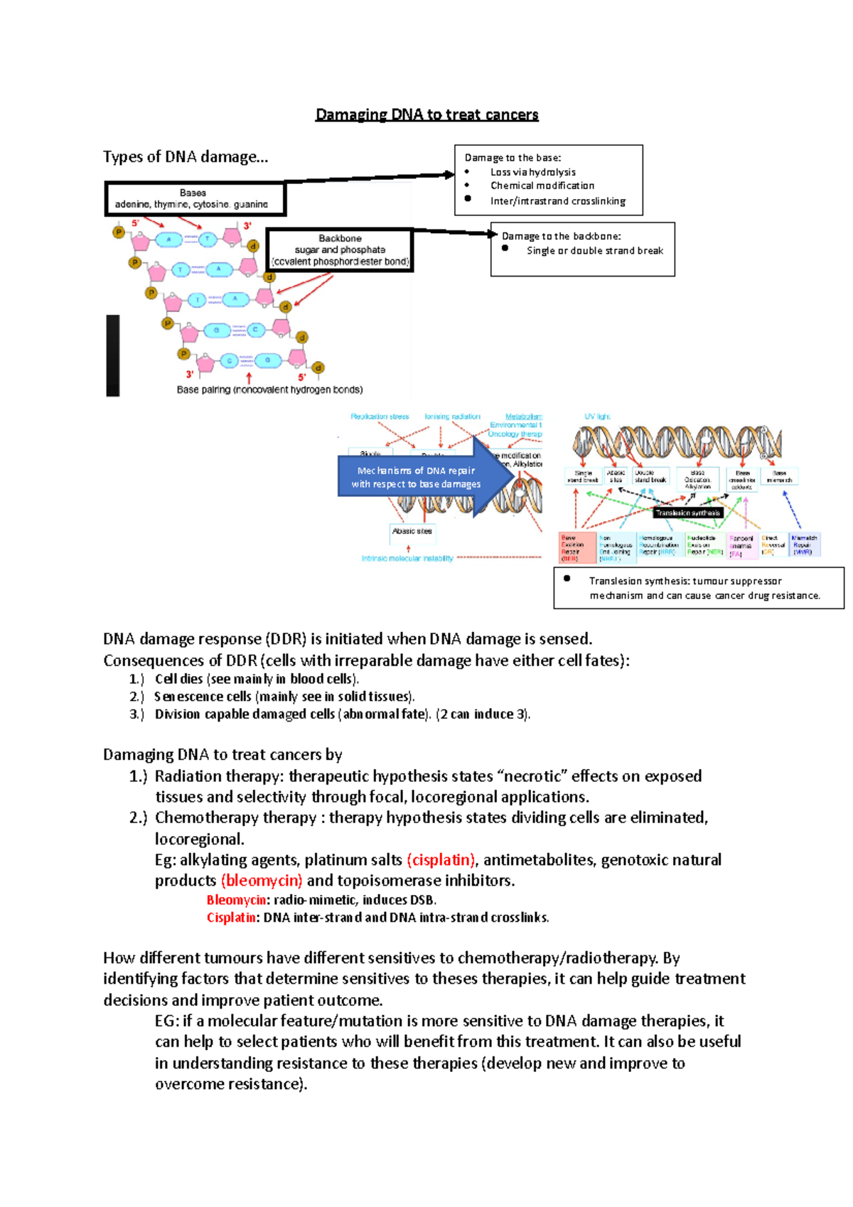 Exploiting DDR - Damaging DNA to treat cancers Types of DNA damage... DNA damage response (DDR ...