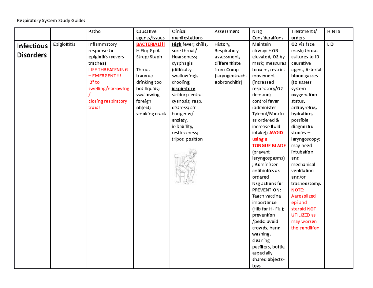 Respiratory System Study Guide for Workshop - Respiratory System Study ...