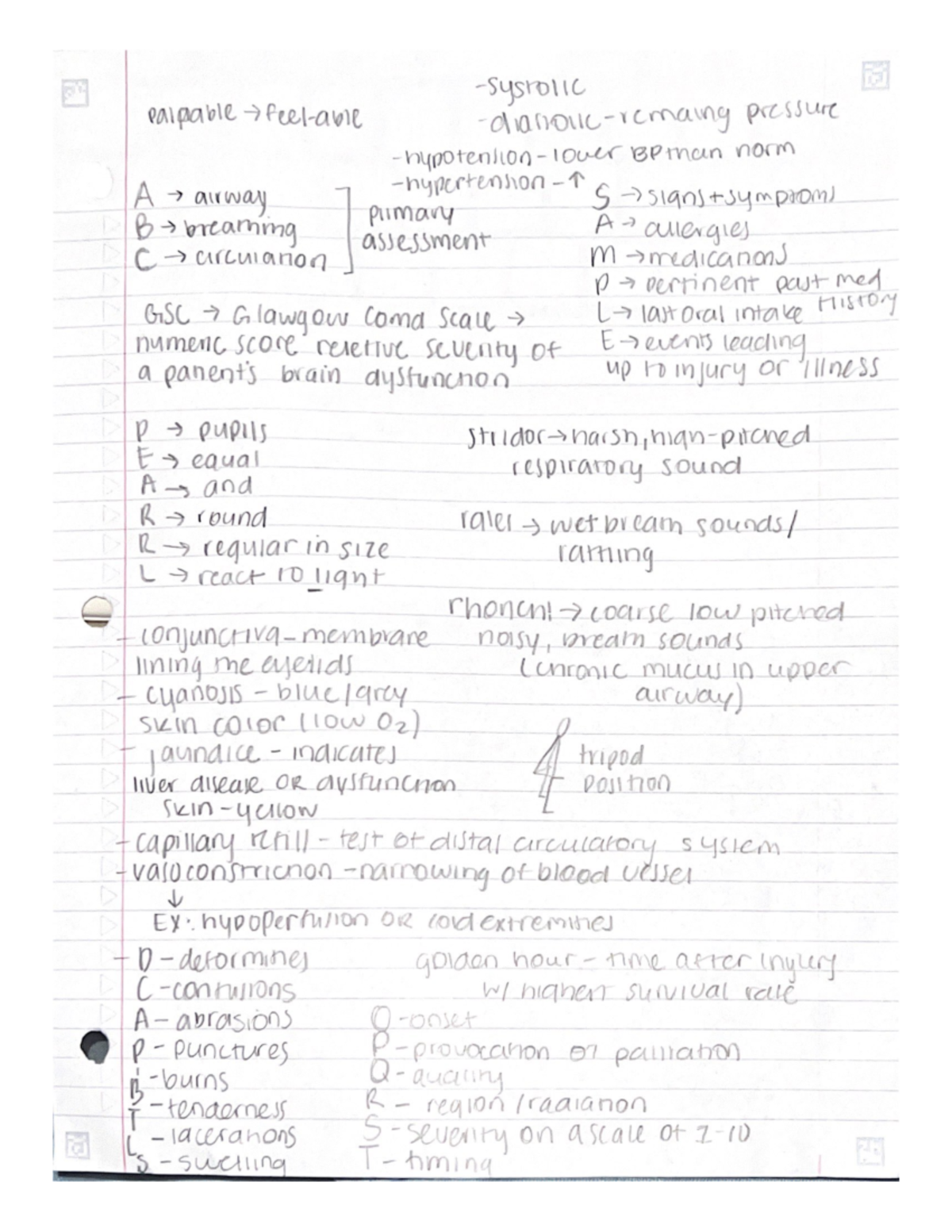 Respirarory system anatomical drawings - BSC 215 - Studocu