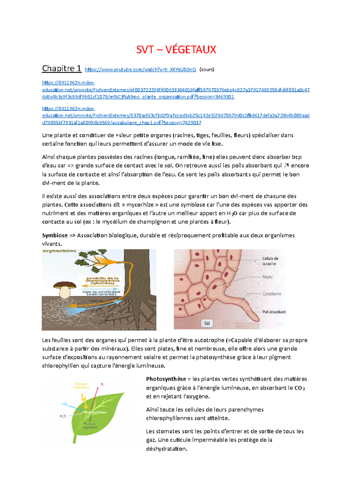SVT - végetaux - svt cours résumé végétaux - SVT – VÉGETAUX Chapitre 1 ...