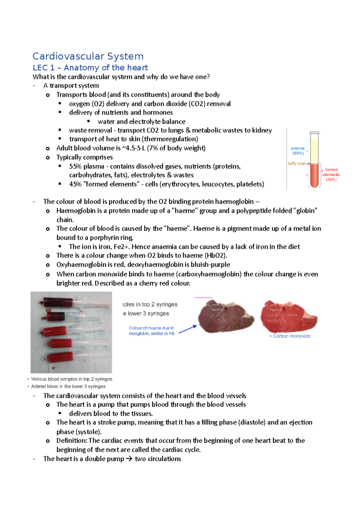Cardiovascular System notes - Cardiovascular System LEC 1 – Anatomy of ...
