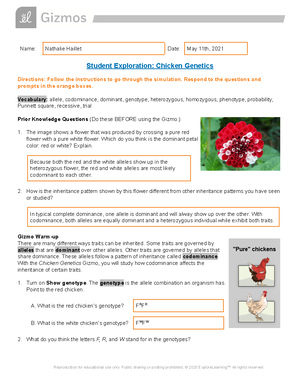 10 - Digestive System Gizmo answers - Digestive System Answer Key ...