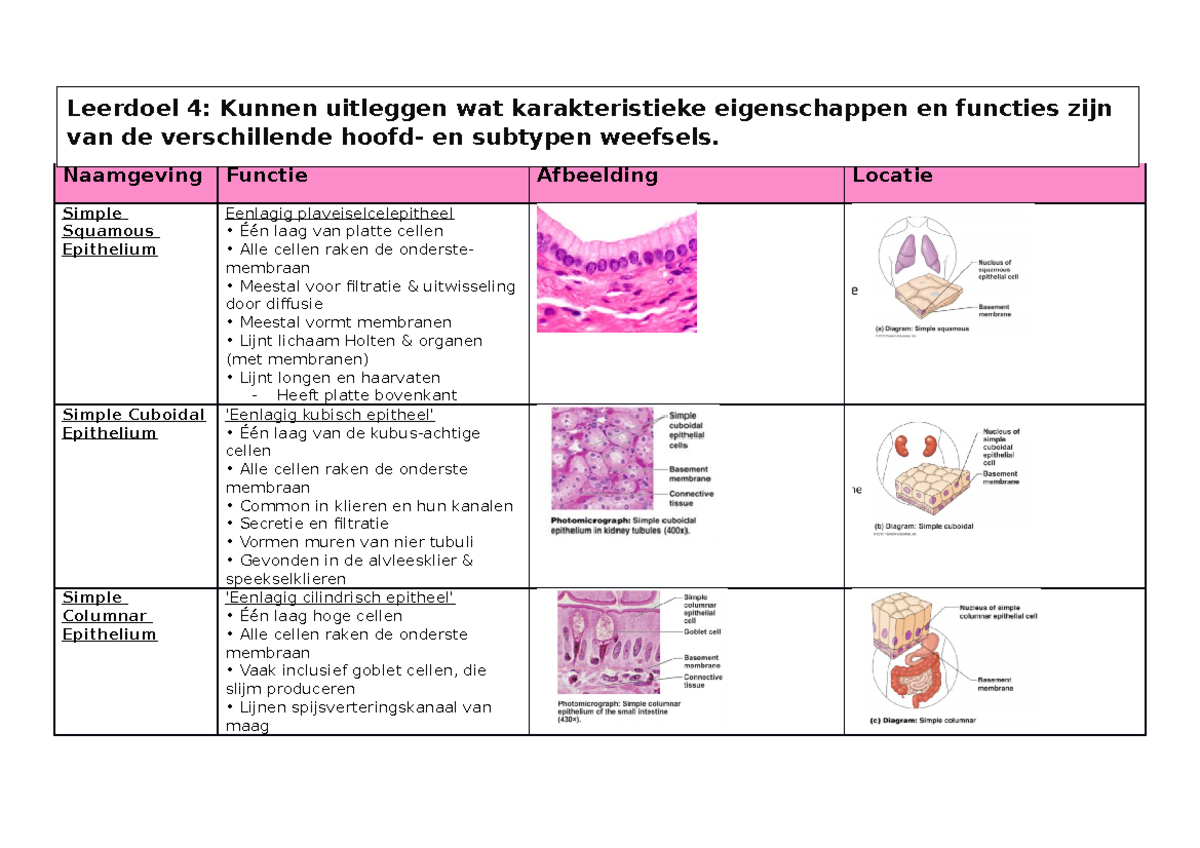 Tabel weefsels - Leerdoel 4: Kunnen uitleggen wat karakteristieke ...