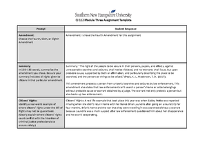 CJ 112 Module Three Assignment Template - CJ 112 Module Three ...
