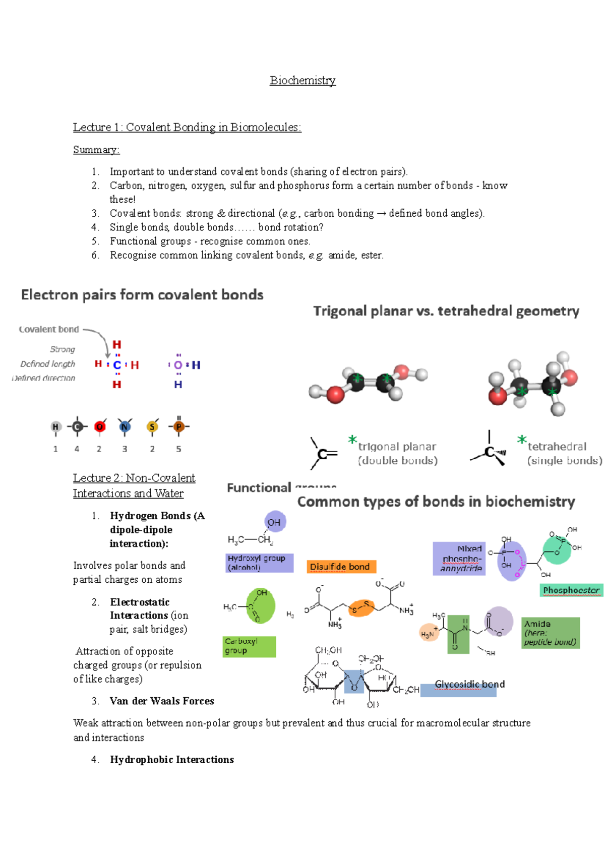 Biochemistry Lecture Notes 2019 - Biochemistry Lecture 1: Covalent ...
