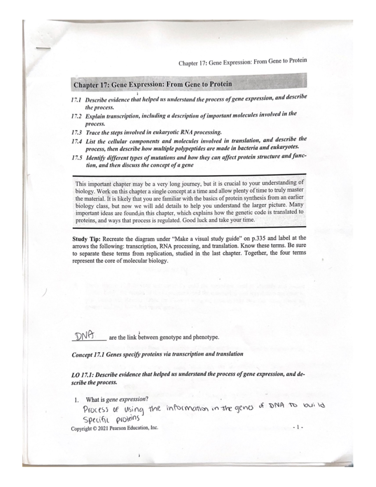 Chap 17 study homework - BSC2010 - Studocu
