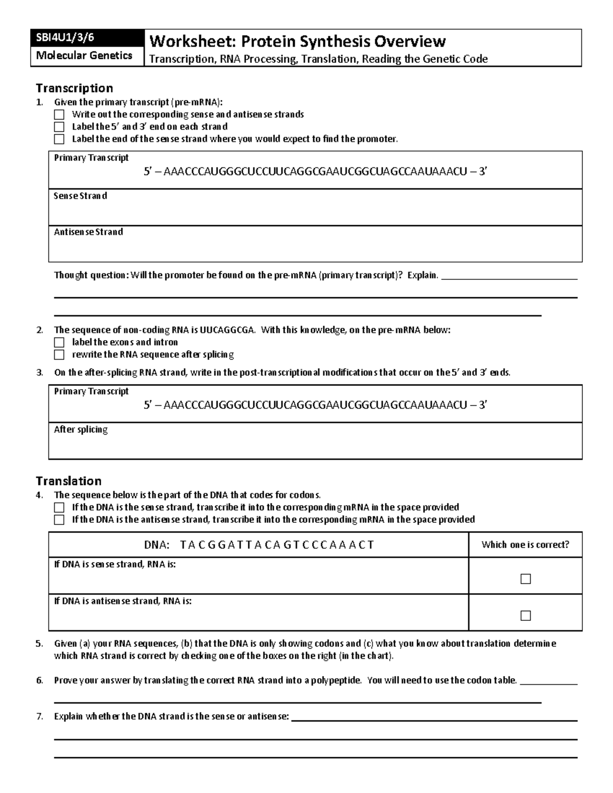 Protein Synthesis Overview WS - SBI4U1/3/6 Worksheet: Protein Synthesis Overview Molecular ...