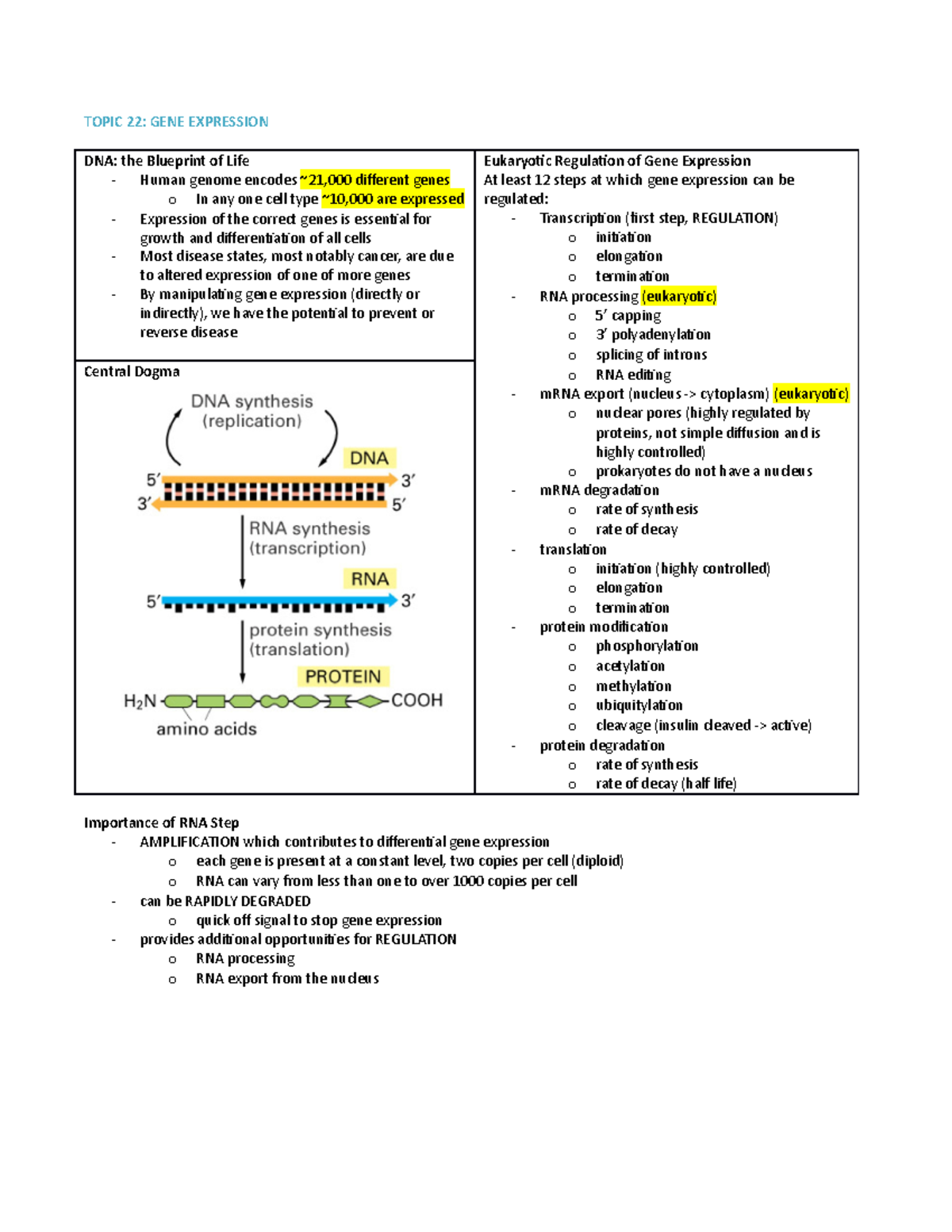 Biochem Notes - TOPIC 22: GENE EXPRESSION DNA: the Blueprint of Life ...