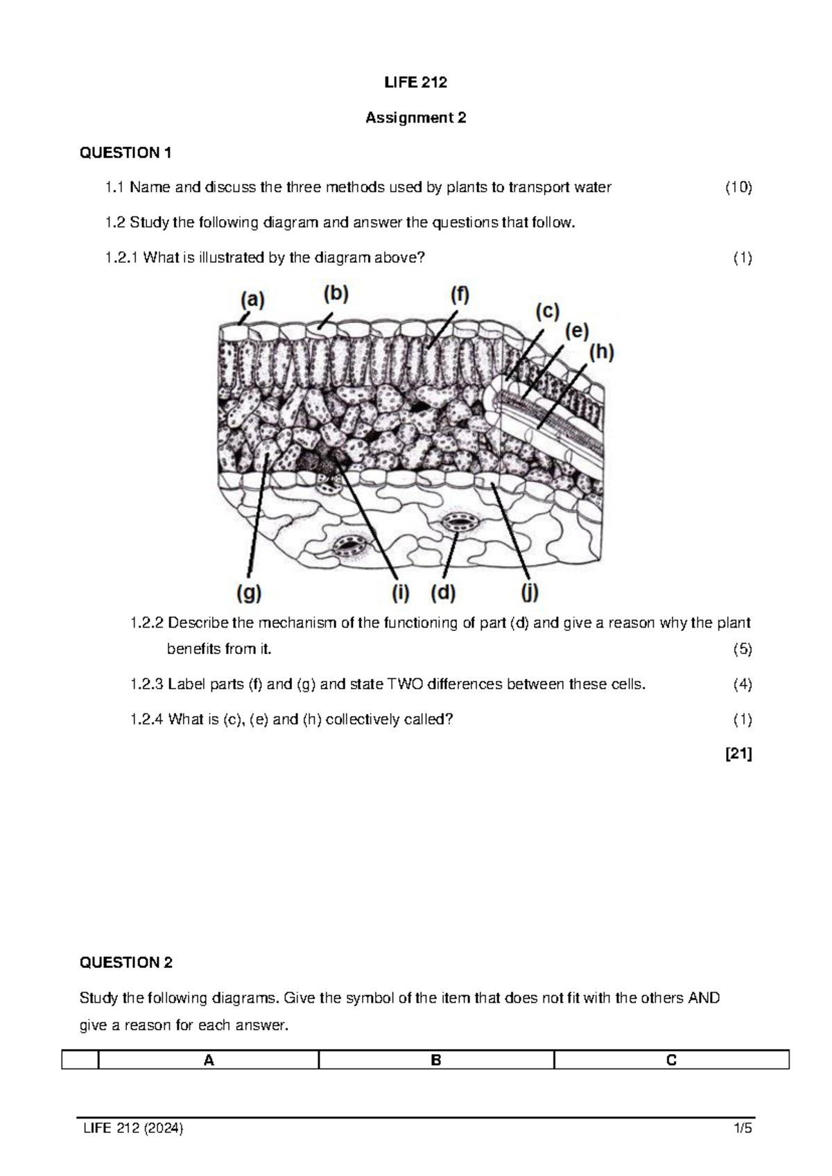 LIFE 212 - Assignment 2 - LIFE 212 (2024) 1 / LIFE 212 Assignment 2 QUESTION 1 1 Name and ...