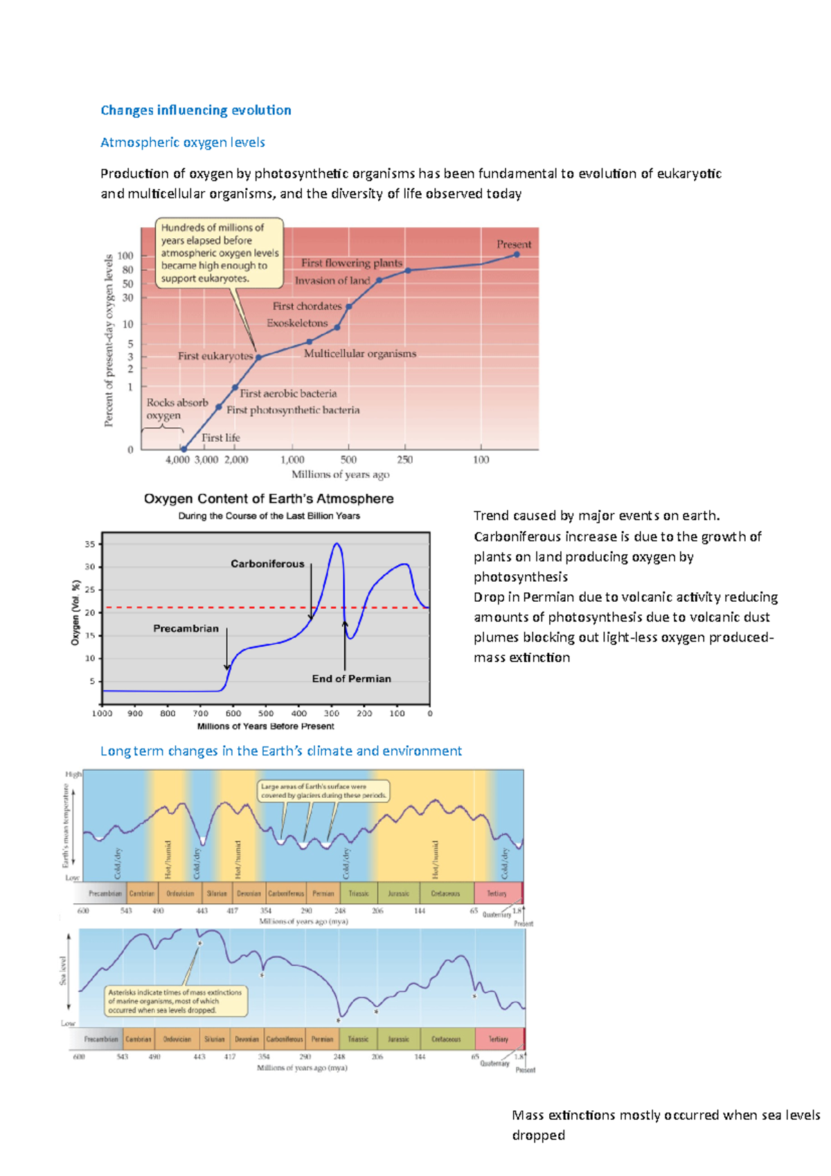 1.history of life on earth - Changes influencing evolution Atmospheric ...