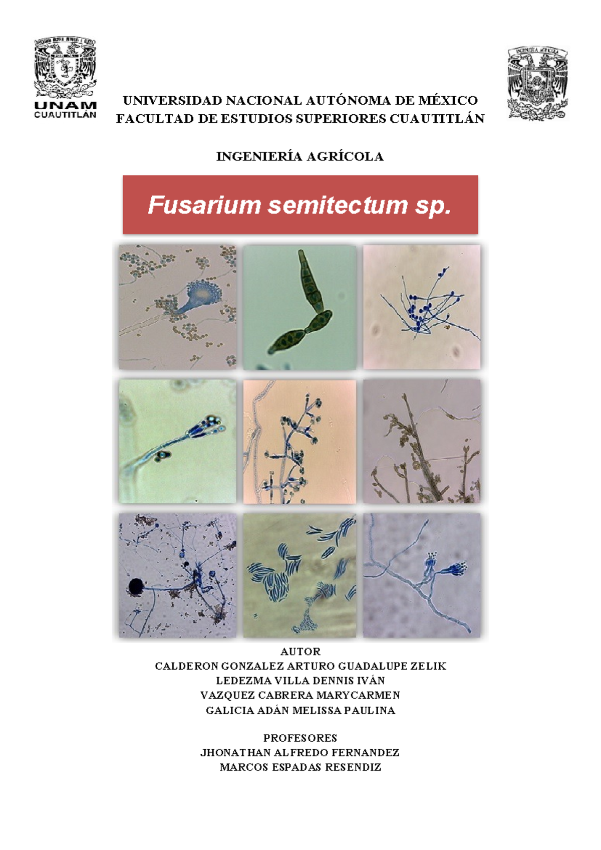 Fusarium semitectum sp. Ficha electronica (1) - UNIVERSIDAD NACIONAL ...