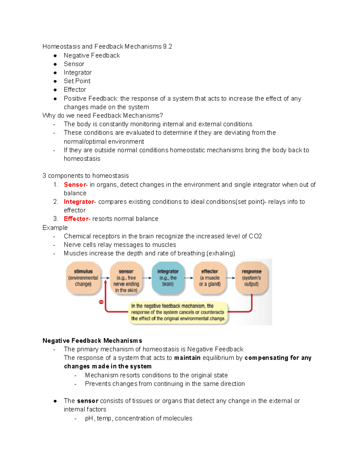Chapter 9 bio - Homeostasis and Feedback Mechanisms 9.2 and 9.4 Water ...