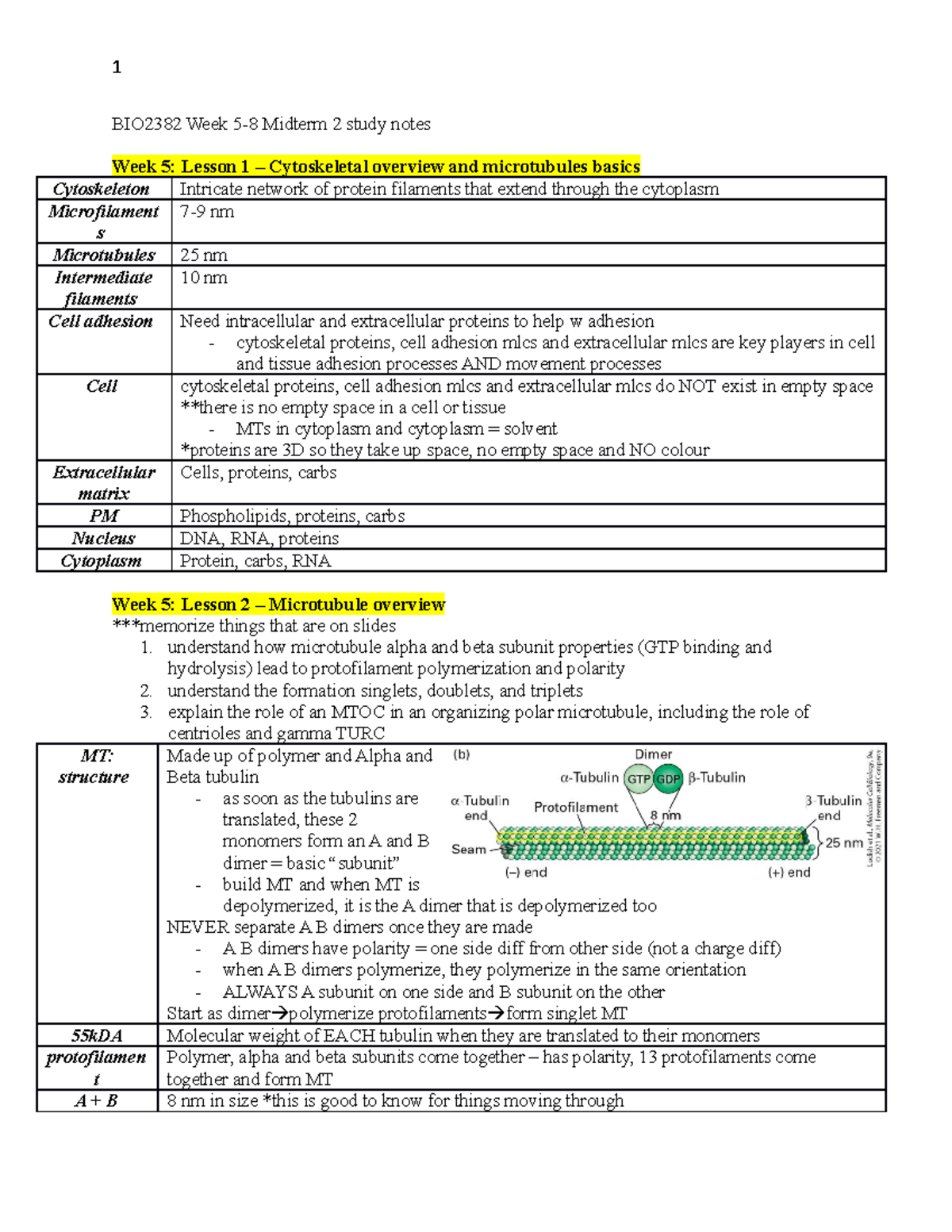 BIO2382 Midterm 2 study notes - BIO2382 Week 5-8 Midterm 2 study notes ...