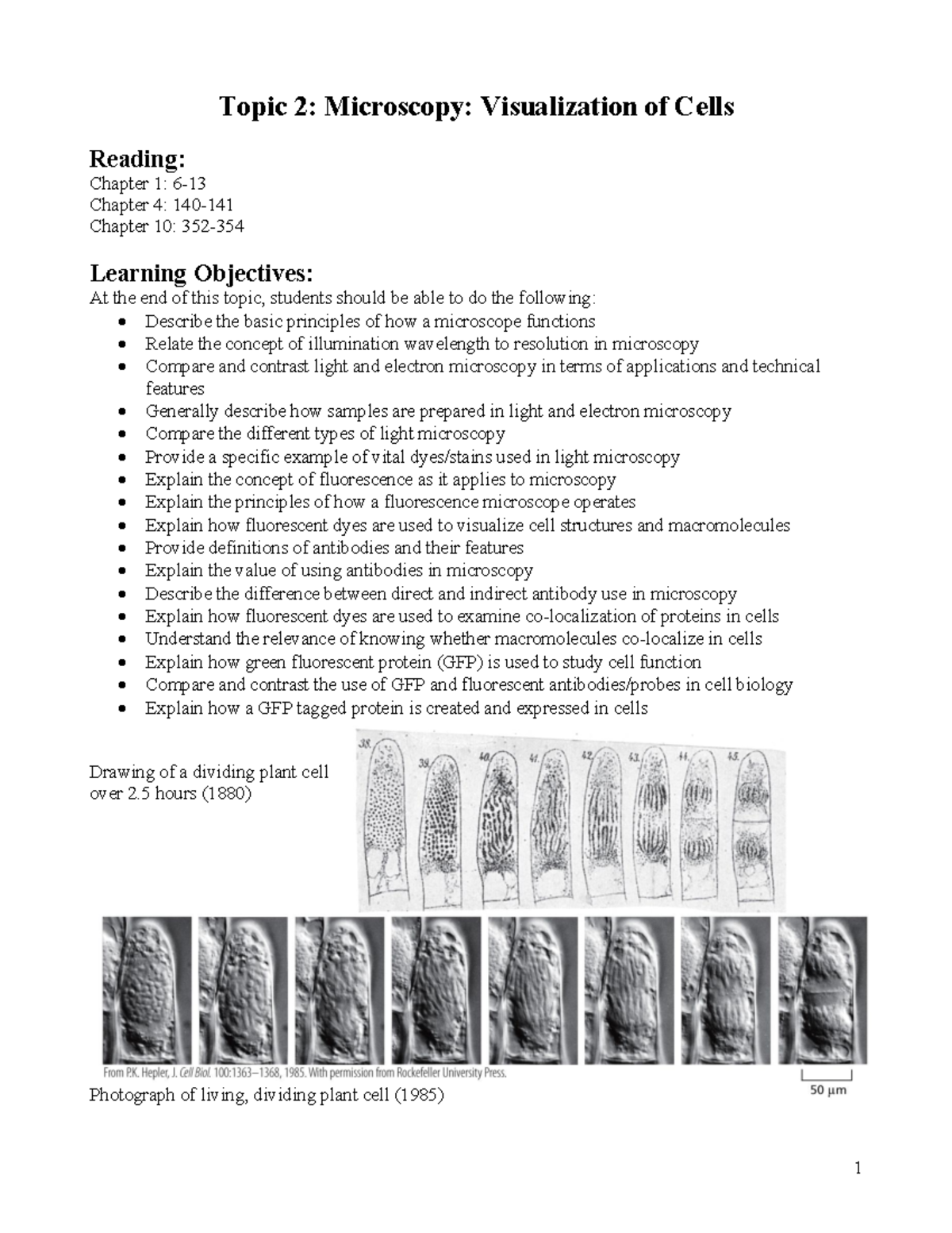 Topic 2 Microscopy 201 - Bio notes - Topic 2: Microscopy: Visualization ...