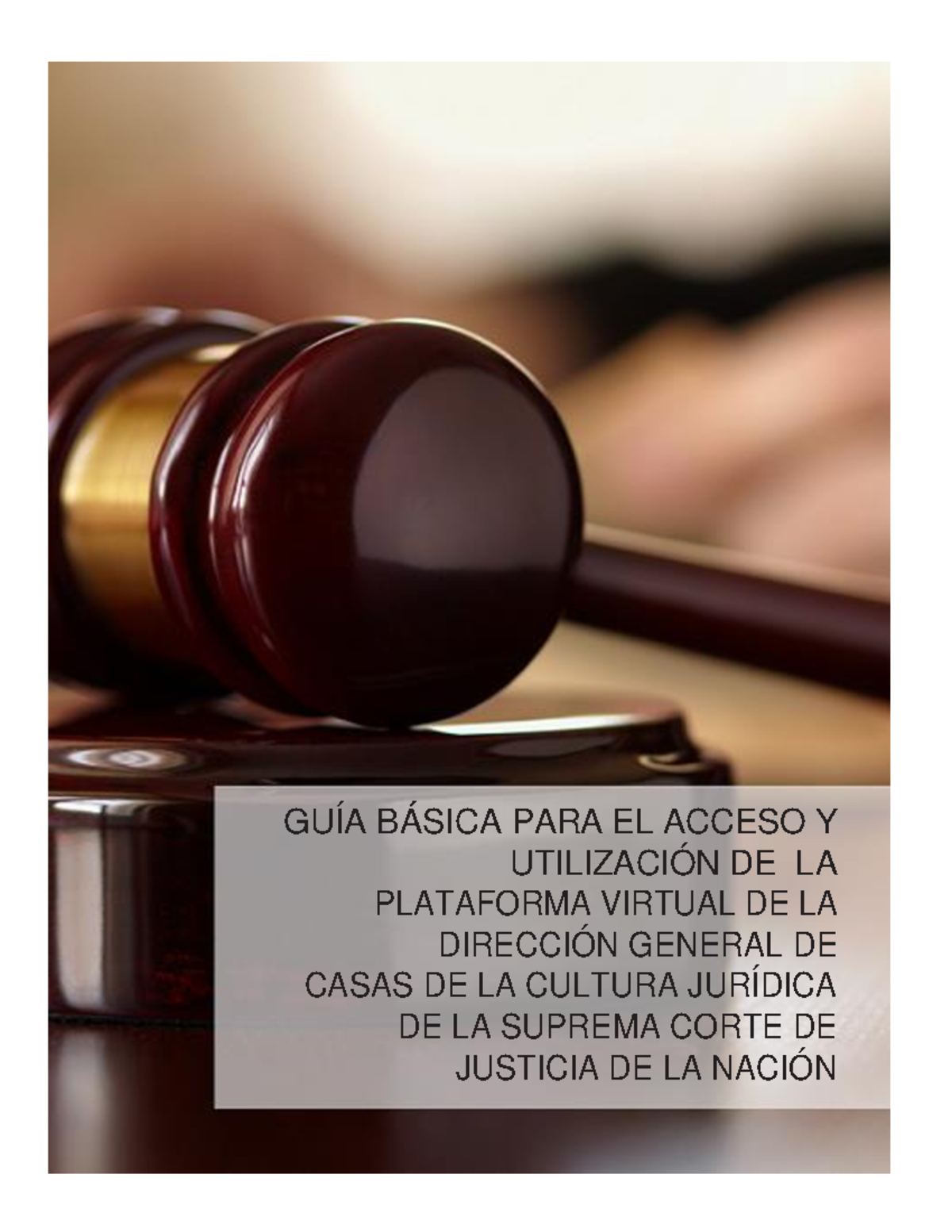 GUÍA Moodle Dgccj SEPT 2017 V3 - GUÍA BÁSICA PARA EL ACCESO Y ...