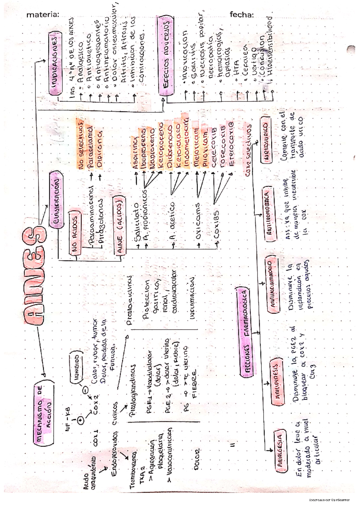 MAPA Conceptual - tarea - MECANISMO DE AINES ACCION material ...