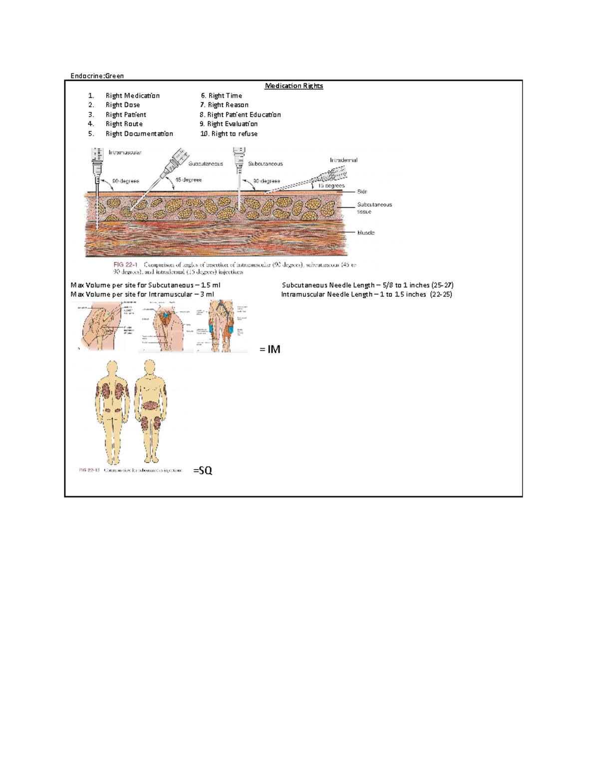 Growth hormone - heepfonjwpCIKNWEP - Endocrine:Green Medication Rights ...